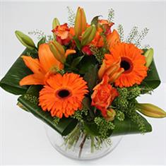 Tequila Poppies Florist Liverpool
